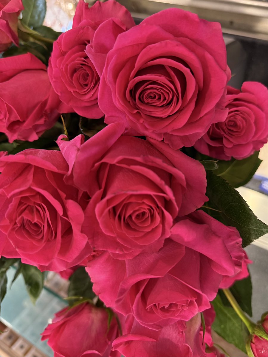 Hot Pink Roses? Okay! https://t.co/3OlHKhzpt8