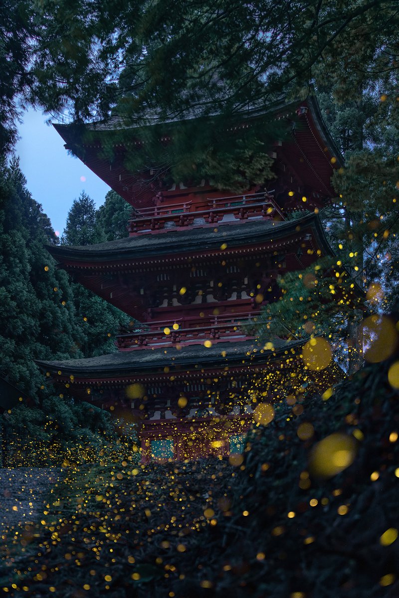 三重塔を乱舞する蛍が美しかったのです。 https://t.co/tLTt0fk70Q