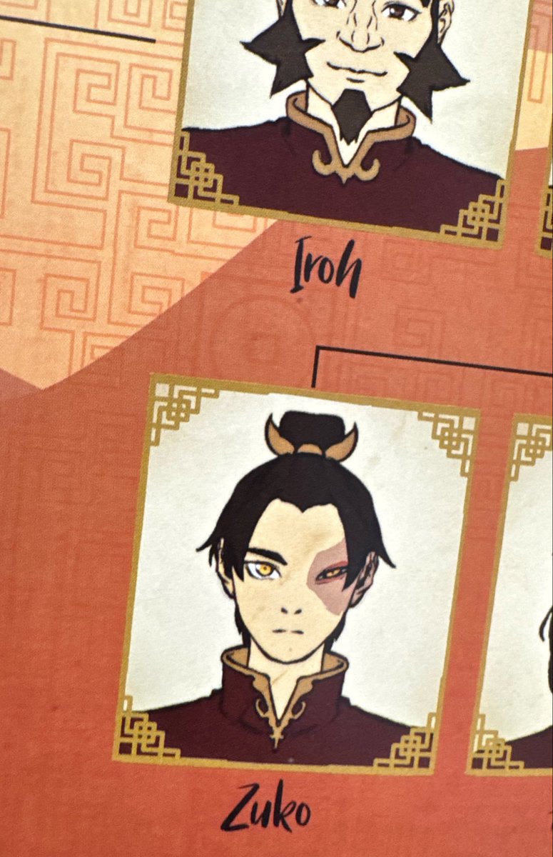 Got This Book Solely For Zuko And Irohs Letters They Are So Dear To 9230