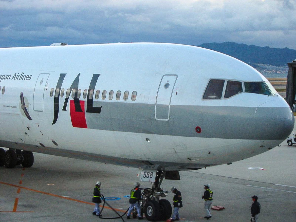 J Bird"オジロワシ"さん 3回だけ乗れたJALのMD-11のうちの1機はこの子でした (鳥のオジロワシの作品拝見したら思い出しちゃったので…)