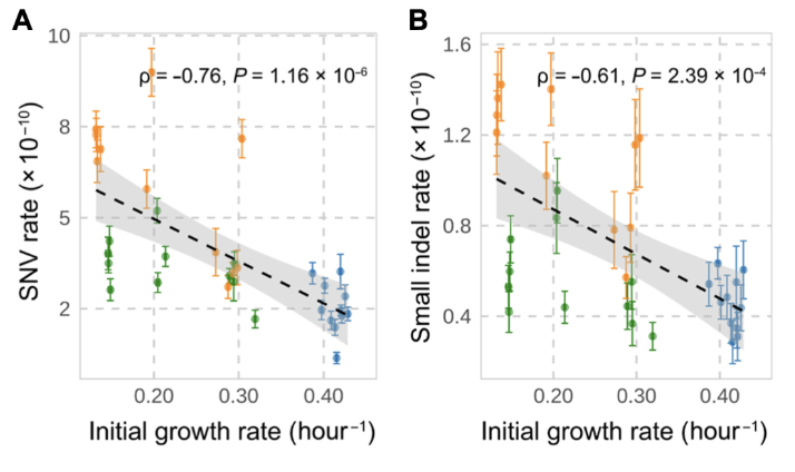 Spontaneous mutation rate and spectrum are modulated by organismal ...