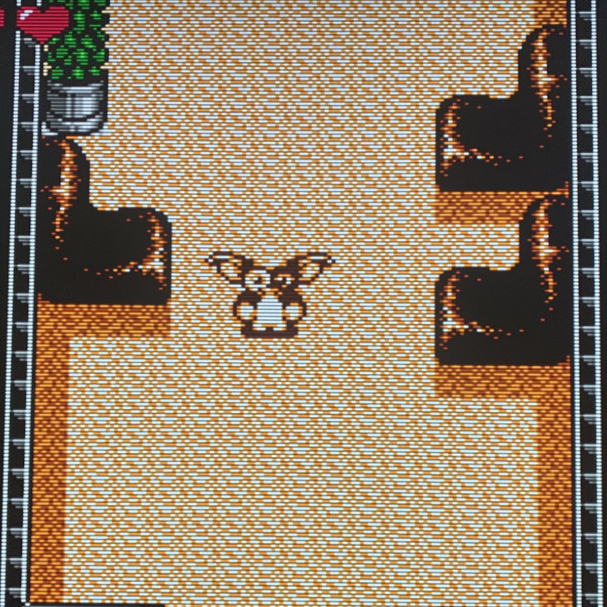 The backgrounds in Gremlins 2 look completely different depending on ...