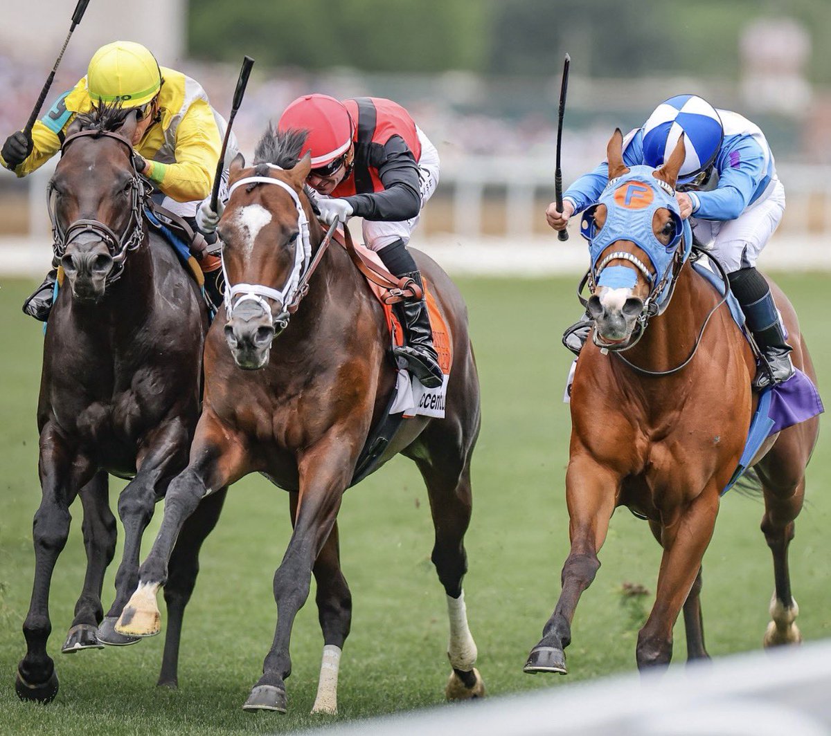 Stakes Winners 🏆 (@StakesWinners) / Posts / X
