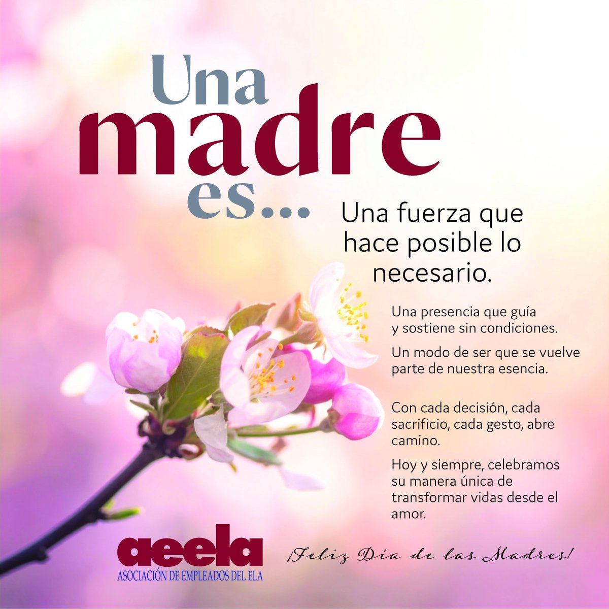 AEELA (@AEmpleados) / Posts / X