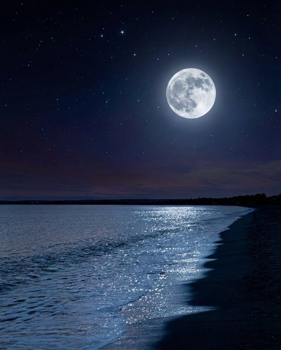 Moon (@moondailys) on X