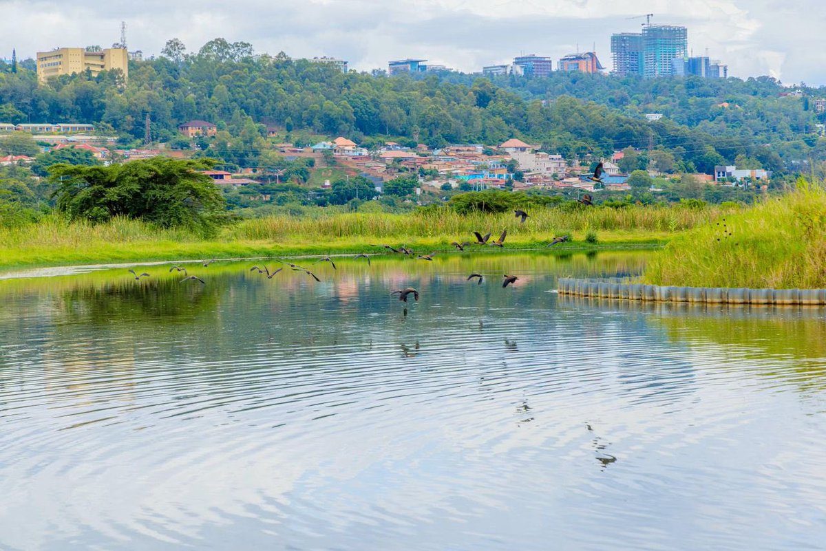 MU MATEKA Y’ISI ; U RWANDA NIRWO RWABASHIJE KWESE UYU MUHIGO Kuva 1956 ...