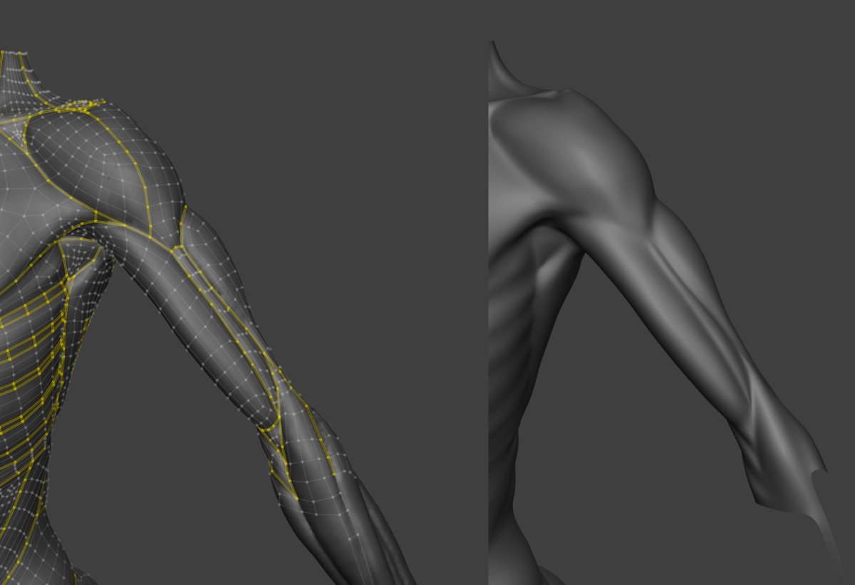Modeling hyper realistic arm muscles #b3d #vrchat