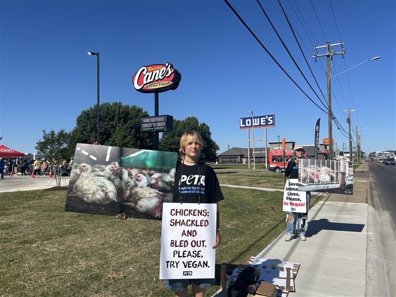 PETA (@peta) / Posts / X