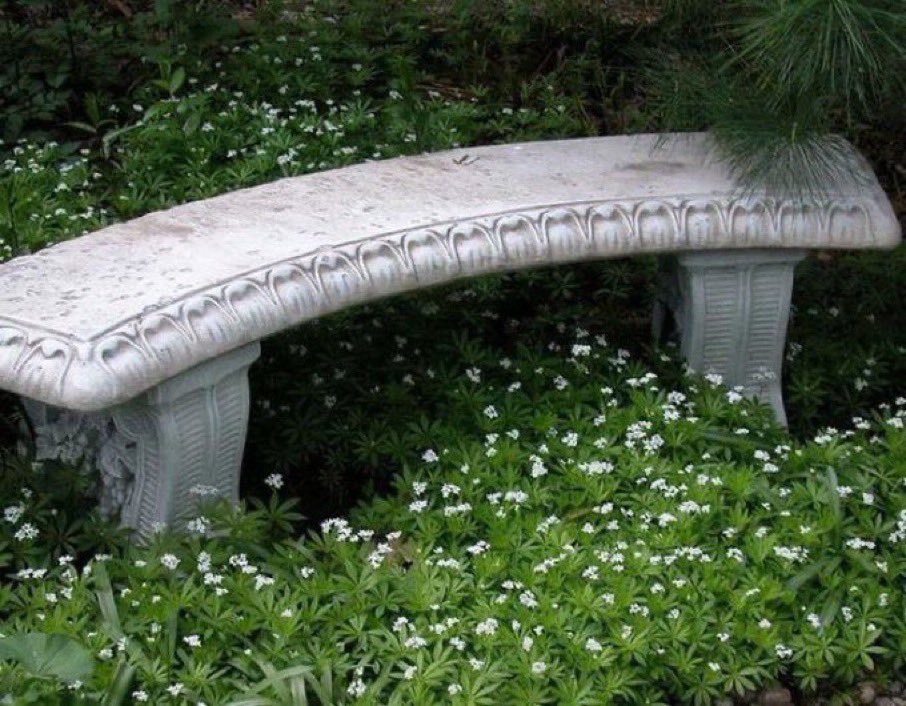 14 May ‘50 Sweet woodruff—that meek, lowly, bright green native of ...