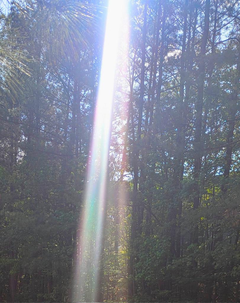 G2 solar storm and photonic diamond light is anchoring! Seeing through ...