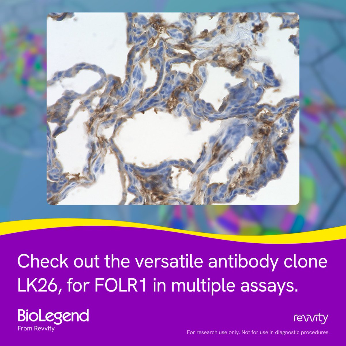 BioLegend from Revvity (@BioLegend) / Posts / X
