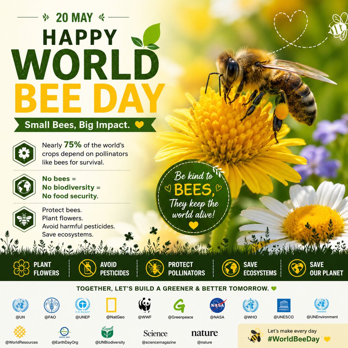 🐝 Happy #WorldBeeDay 🌍 Bees are tiny superheroes of our planet. Nearly ...
