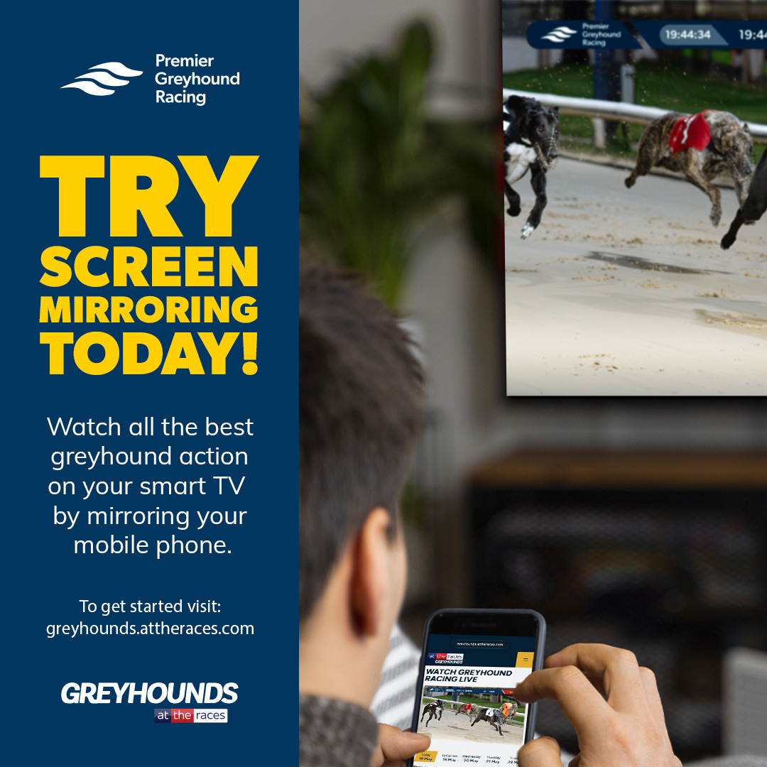 Premier Greyhound Racing (@PremGreyRacing) / Posts / X