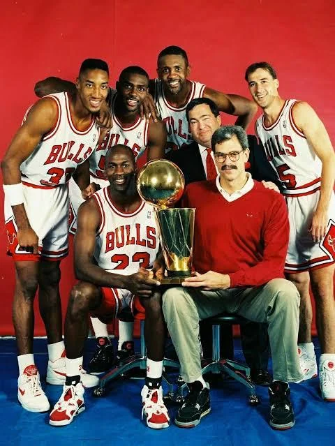 The definition of DOMINANCE: The Chicago Bulls own 3 of 17 teams on ...