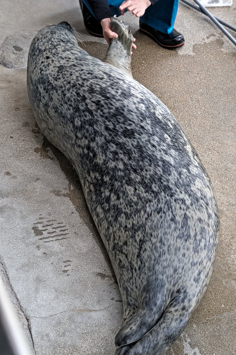 おててぎゅっ玲 #京都水族館 https://t.co/SxKni2wFFs