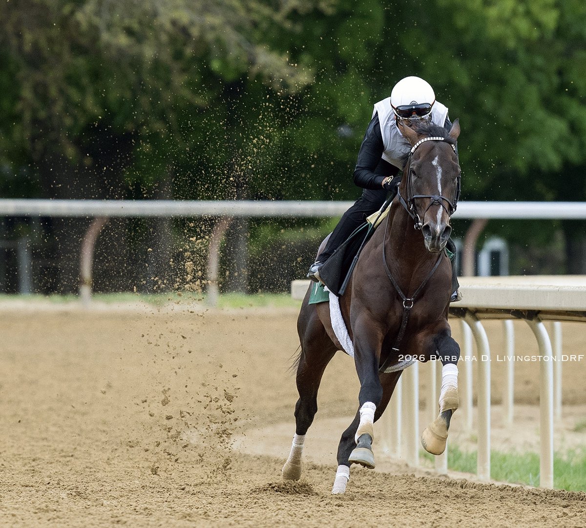 SOVEREIGNTY worked over Saratoga's Oklahoma track this morning. Trained ...