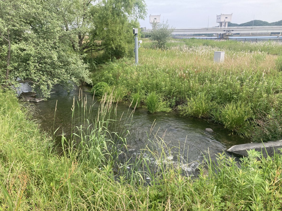 ネイチャーがポジティブになってる事例を体験させていただきました。 素晴らしき魚道！