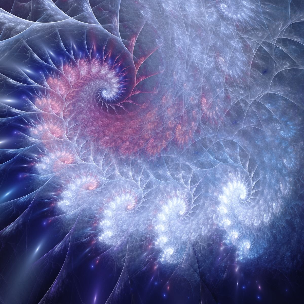 LATEST🚨: Scientists fed the Fibonacci sequence into a quantum computer ...