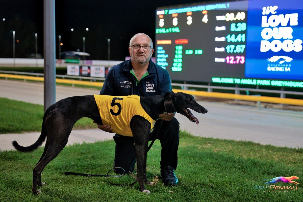 SA Greyhound Tips (@TheDogsSA) / Posts / X