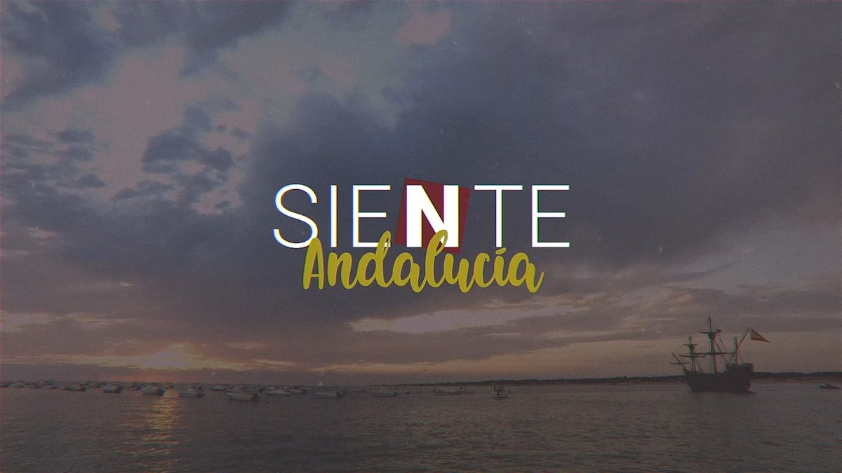 7 TV Málaga (@7TVMalaga) / Posts / X