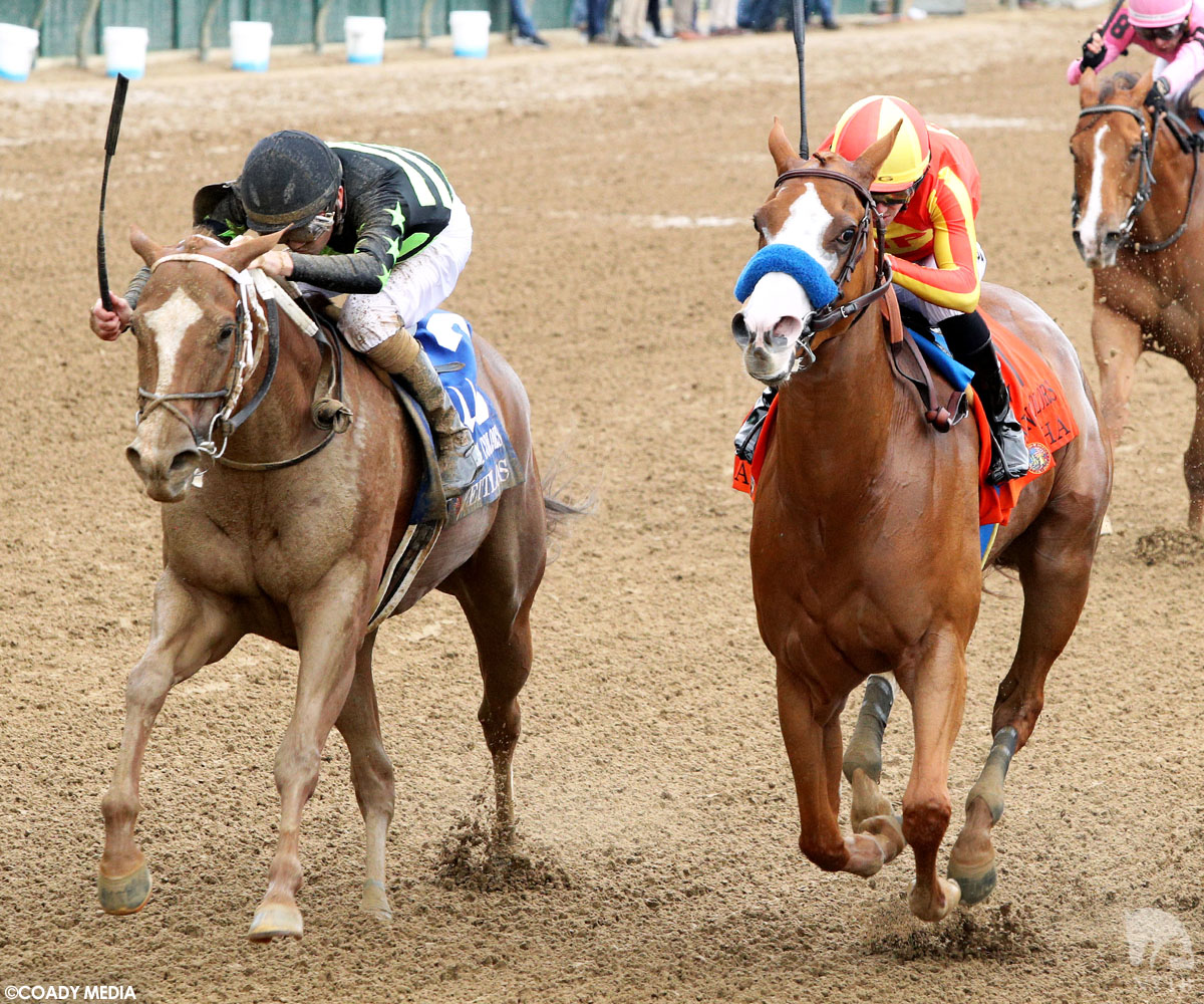 #NYbred champion Usha is looking for another title! Thirty Year Farm's ...