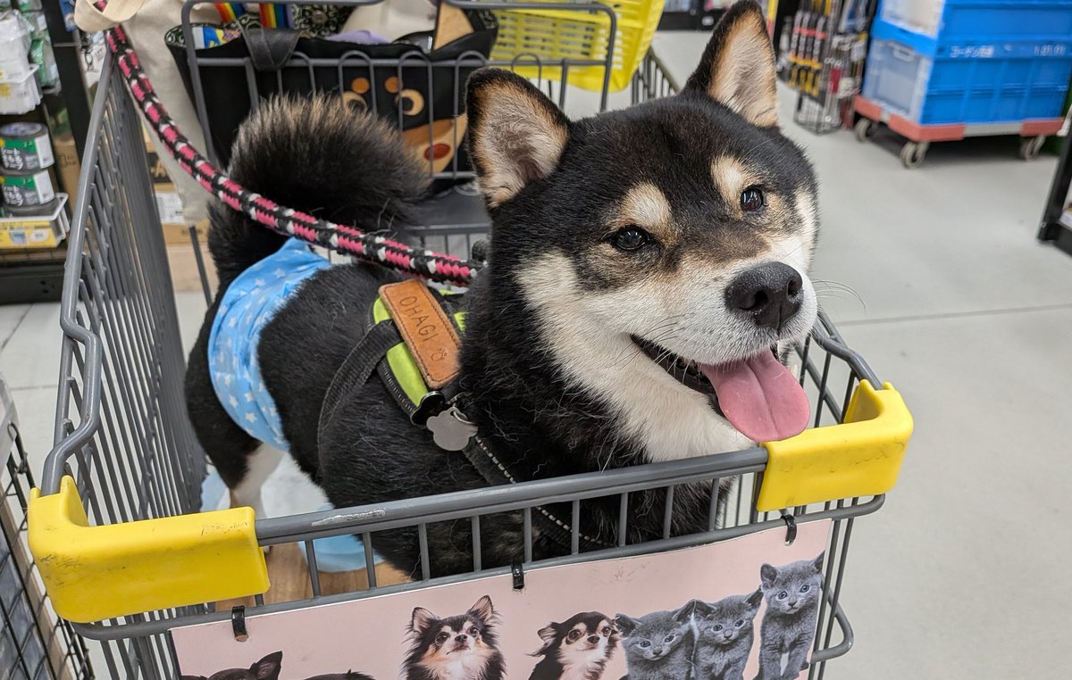 この前、お買い物いってきた https://t.co/C7VBoBwjXv