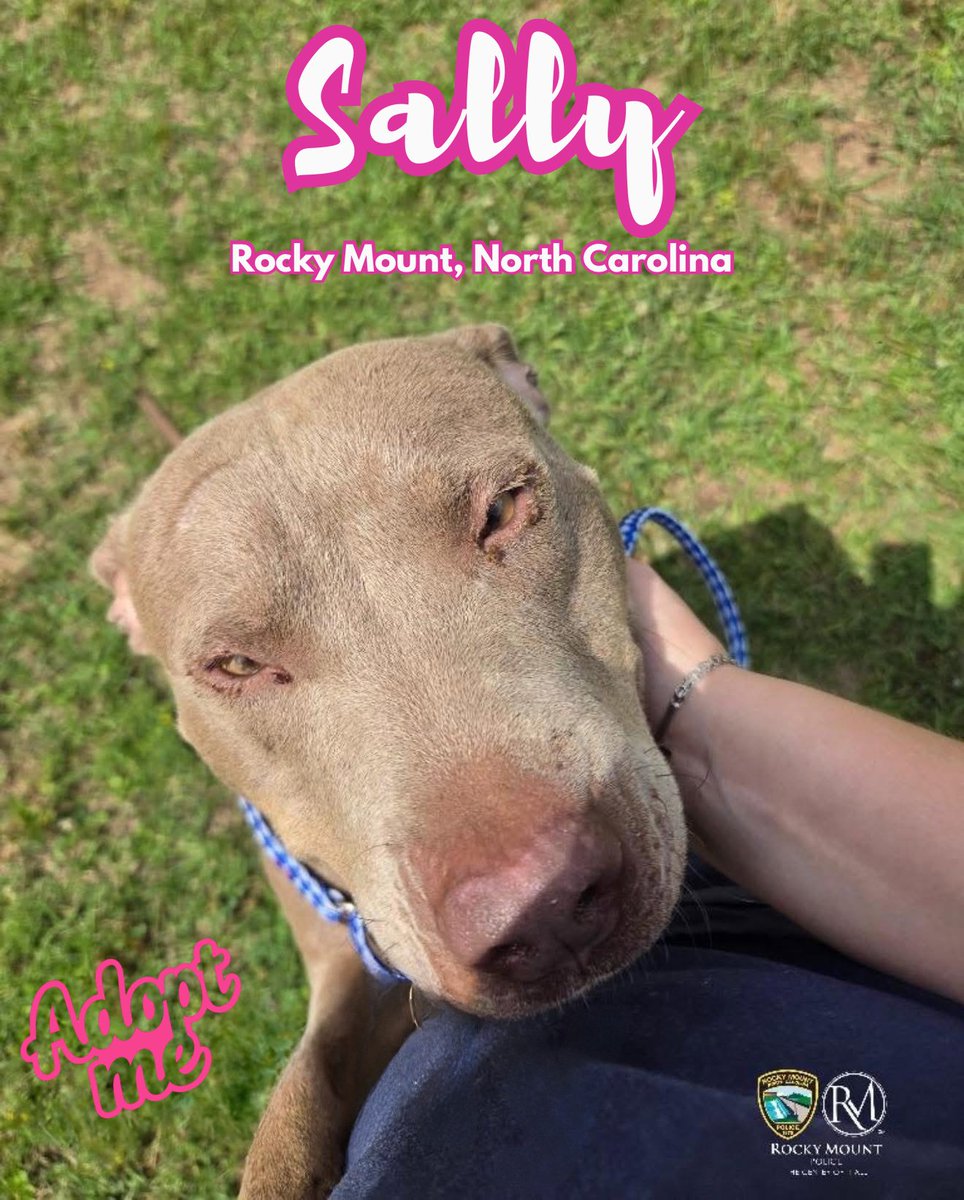 SALLY is a 2yo a sunshine-loving sweetheart in Rocky Mount, NC with a ...