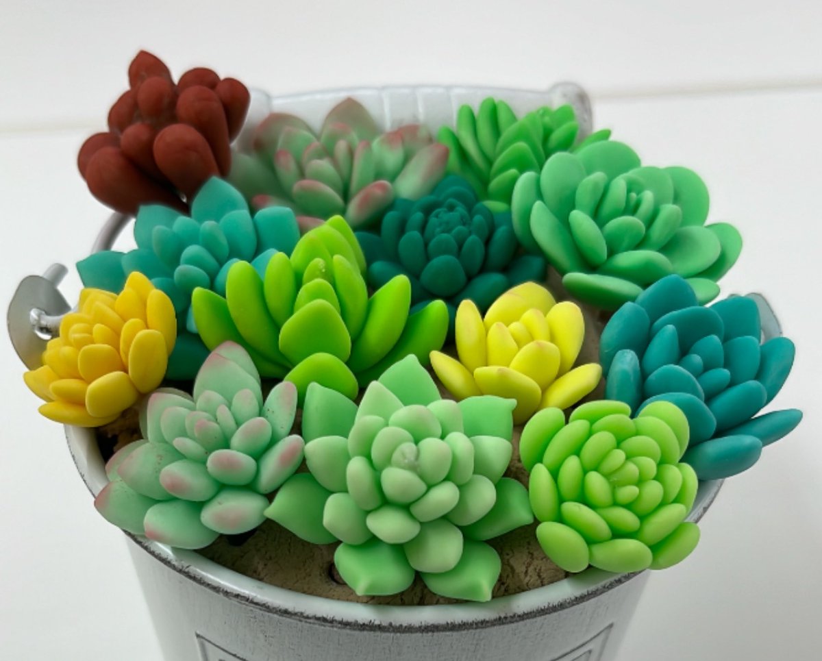 趣味の樹脂粘土で多肉植物作った https://t.co/iKbFQfpixi