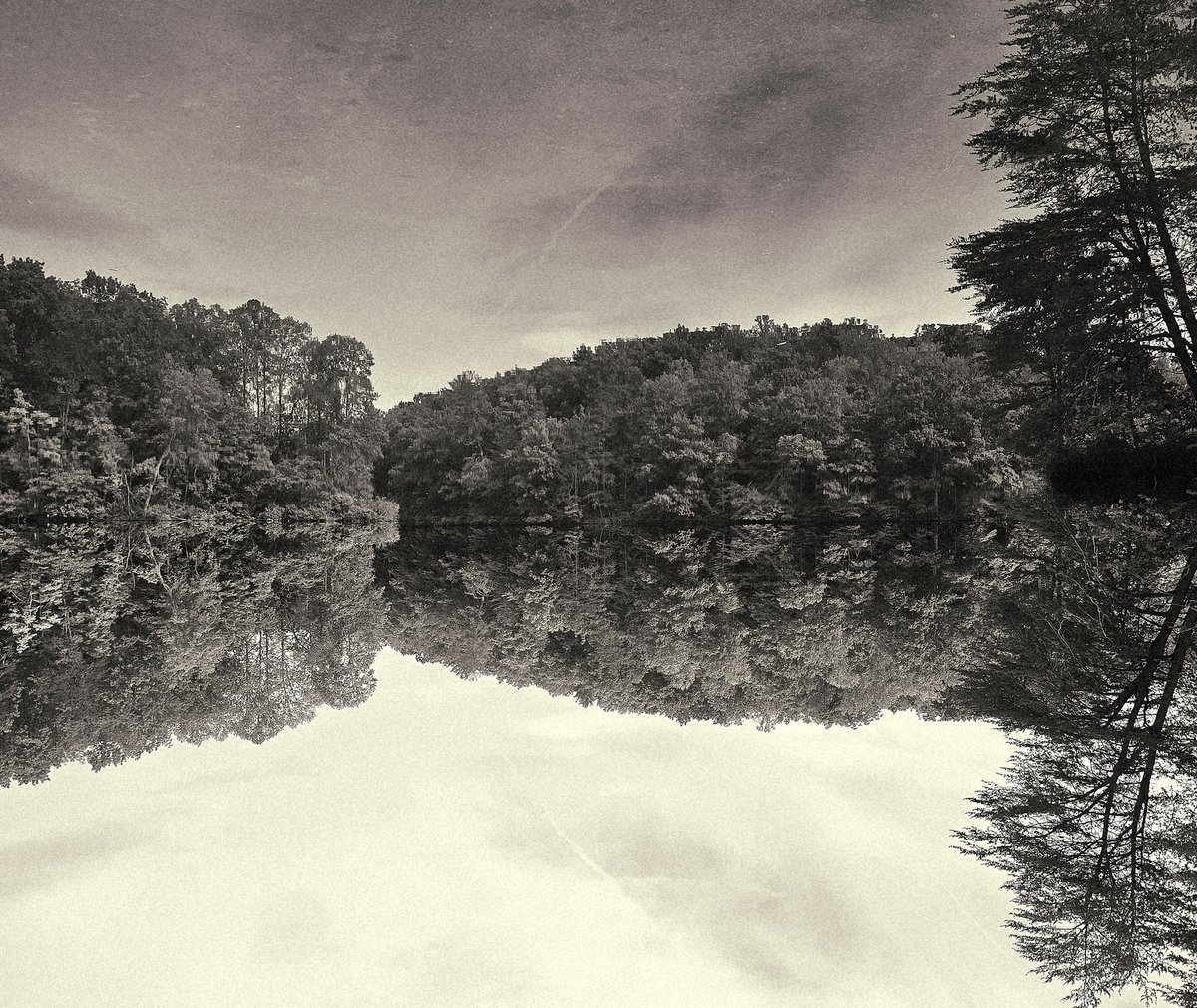 Alright, I'm trying the inverted photo thingy again. But this time it's ...