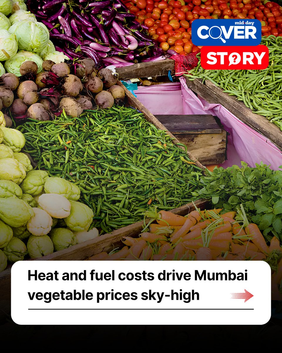 Mid Day (@mid_day) / Posts / X