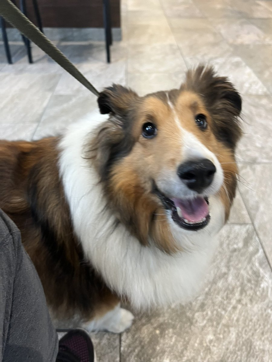 Friends, snapped a pic of Murray just as he went back for dental ...