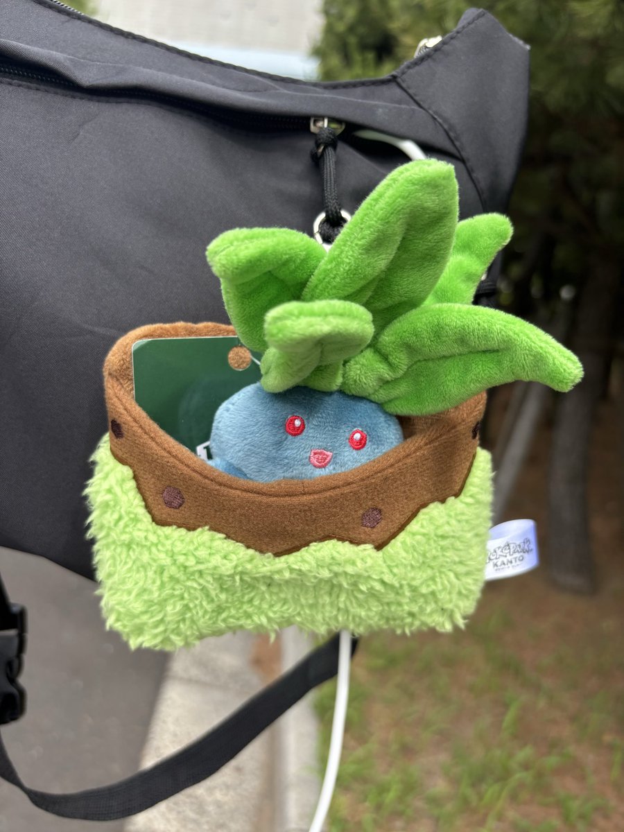 sherryの目印は🌱君 👀 見掛けたら対戦よろしくお願いします🥳