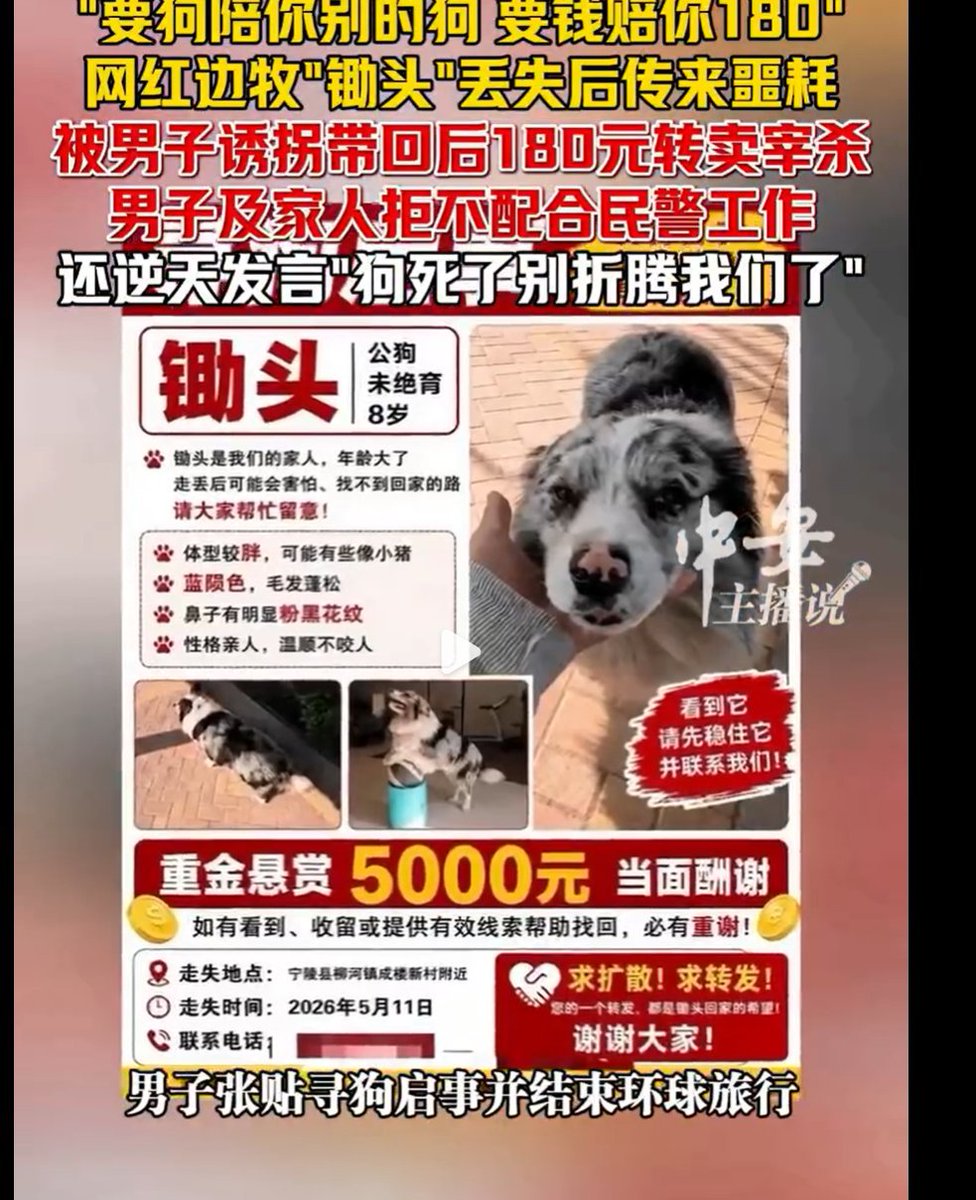 this is an insane story going HUGE on chinese social media and news ...