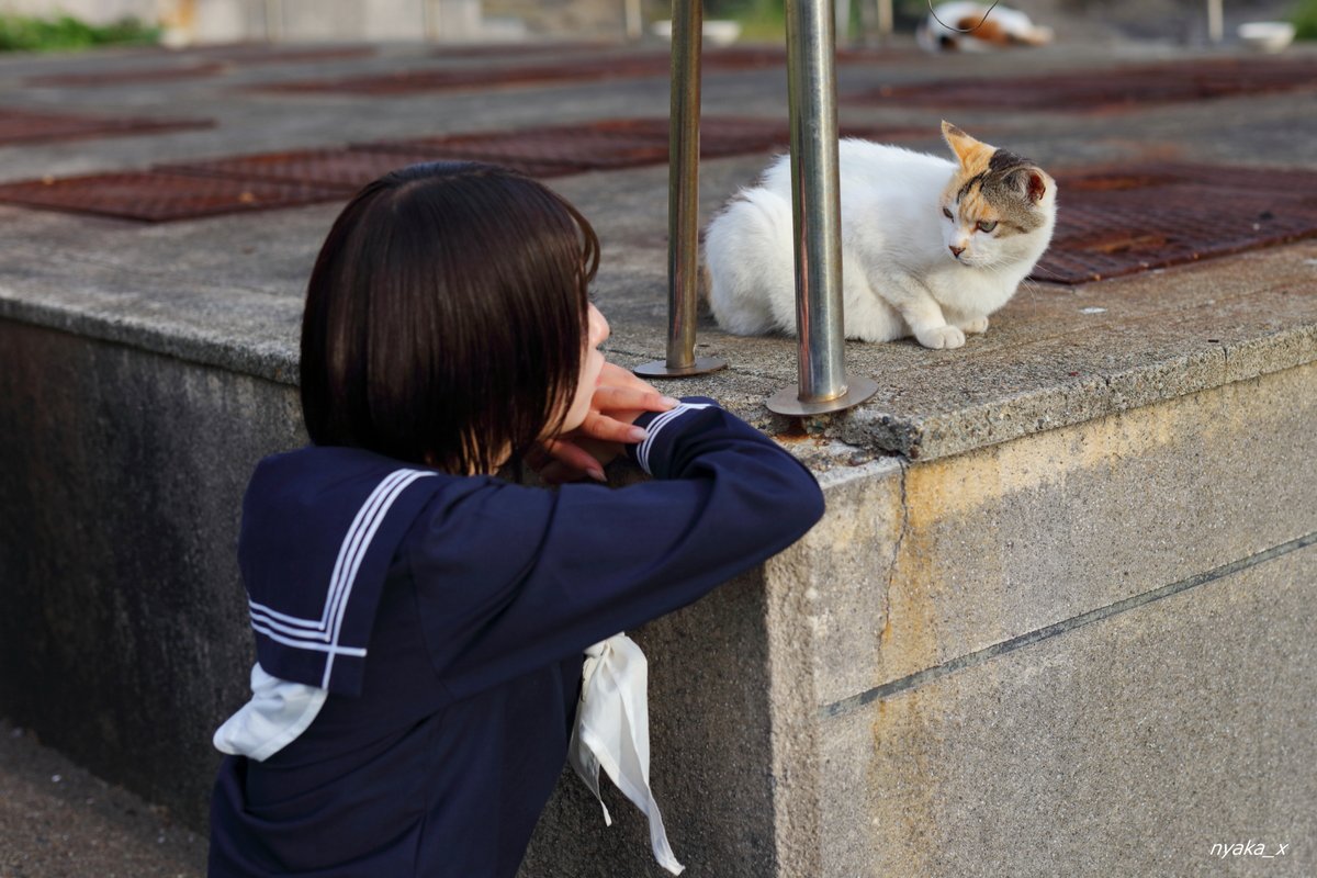 eye contact #涼白ましろ (@chocolumi_mashi )さん #にゃー #ポートレート #photography
