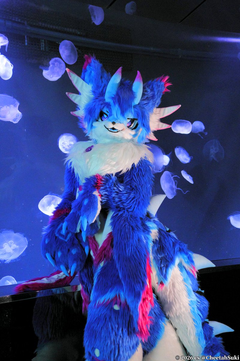一緒にくらげ見る？謁 ㈒ゃ㈒ゃ㈒ゃ㈒ゃ㈒ゃ㈒ゃ㈒ゃ㈒ #FursuitFriday https://t.co/4S7Td7CHuk