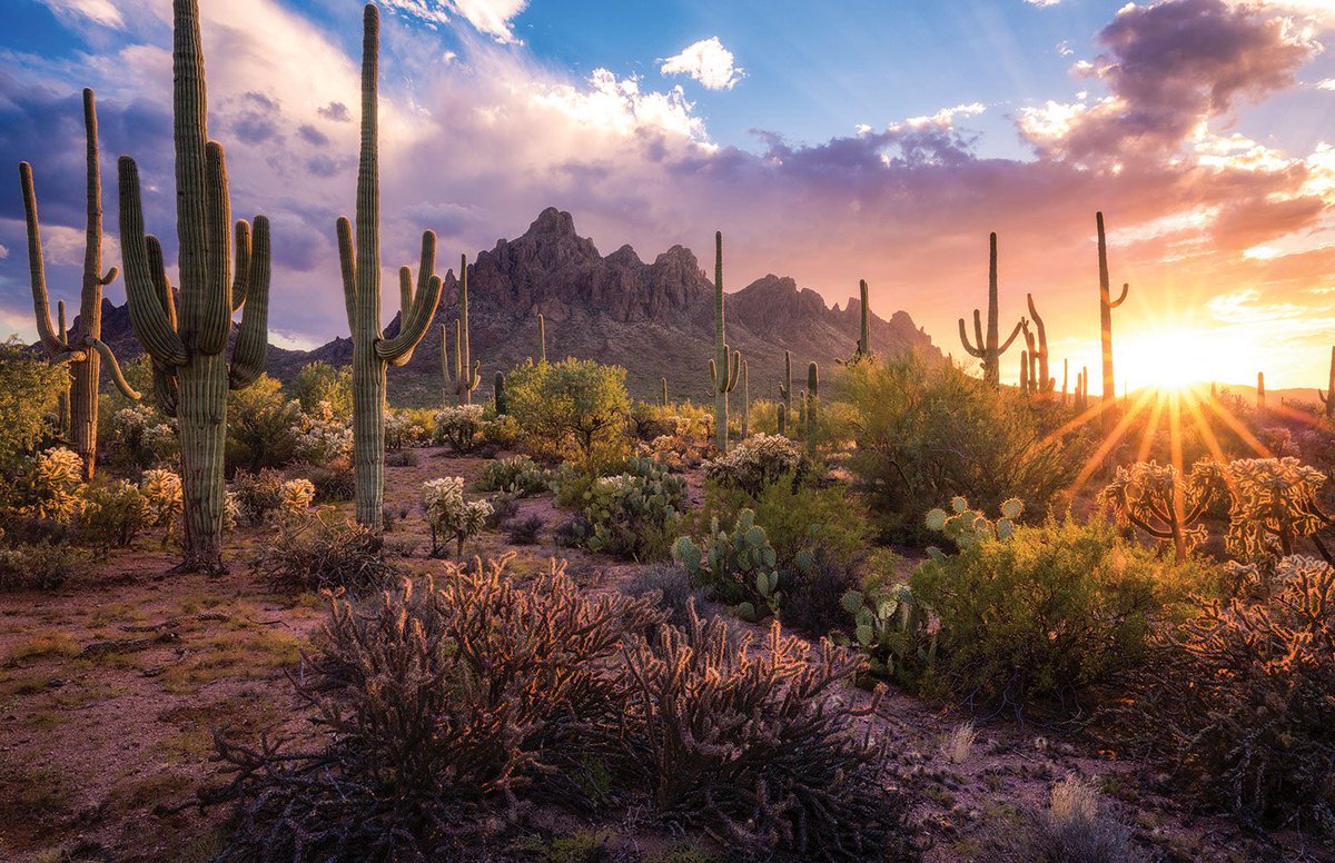 This is the Ironwood Forest National Monument. 129,000 acres of Sonoran ...