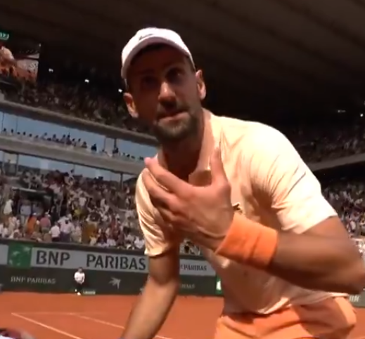 JOÃO FONSECA VENCE NOVAK DJOKOVIC E ELIMINA O SÉRVIO DE ROLAND GARROS ...
