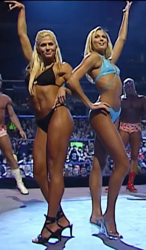Torrie Wilson And Stacy Kiebler 9245