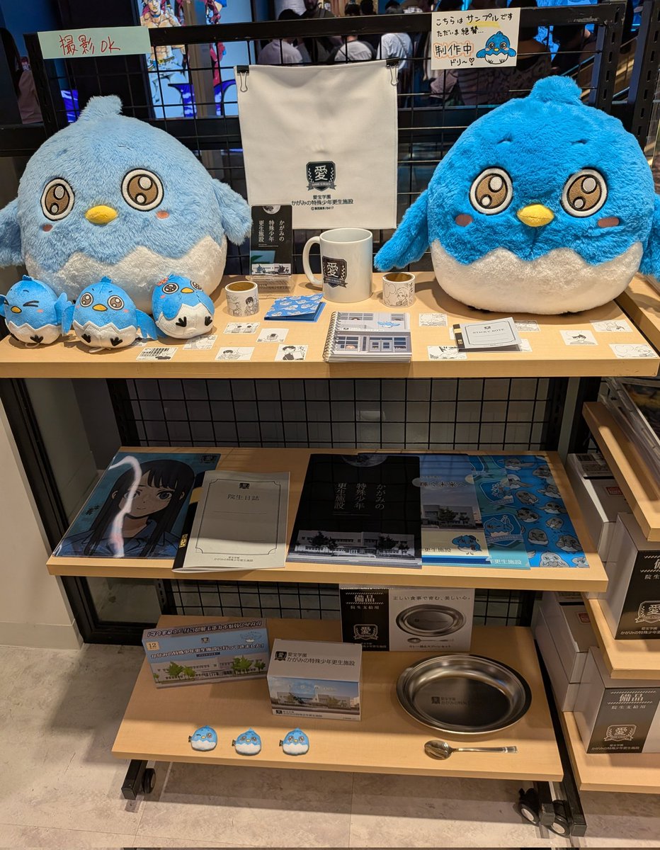 ニンテンドーストアには目もくれず
