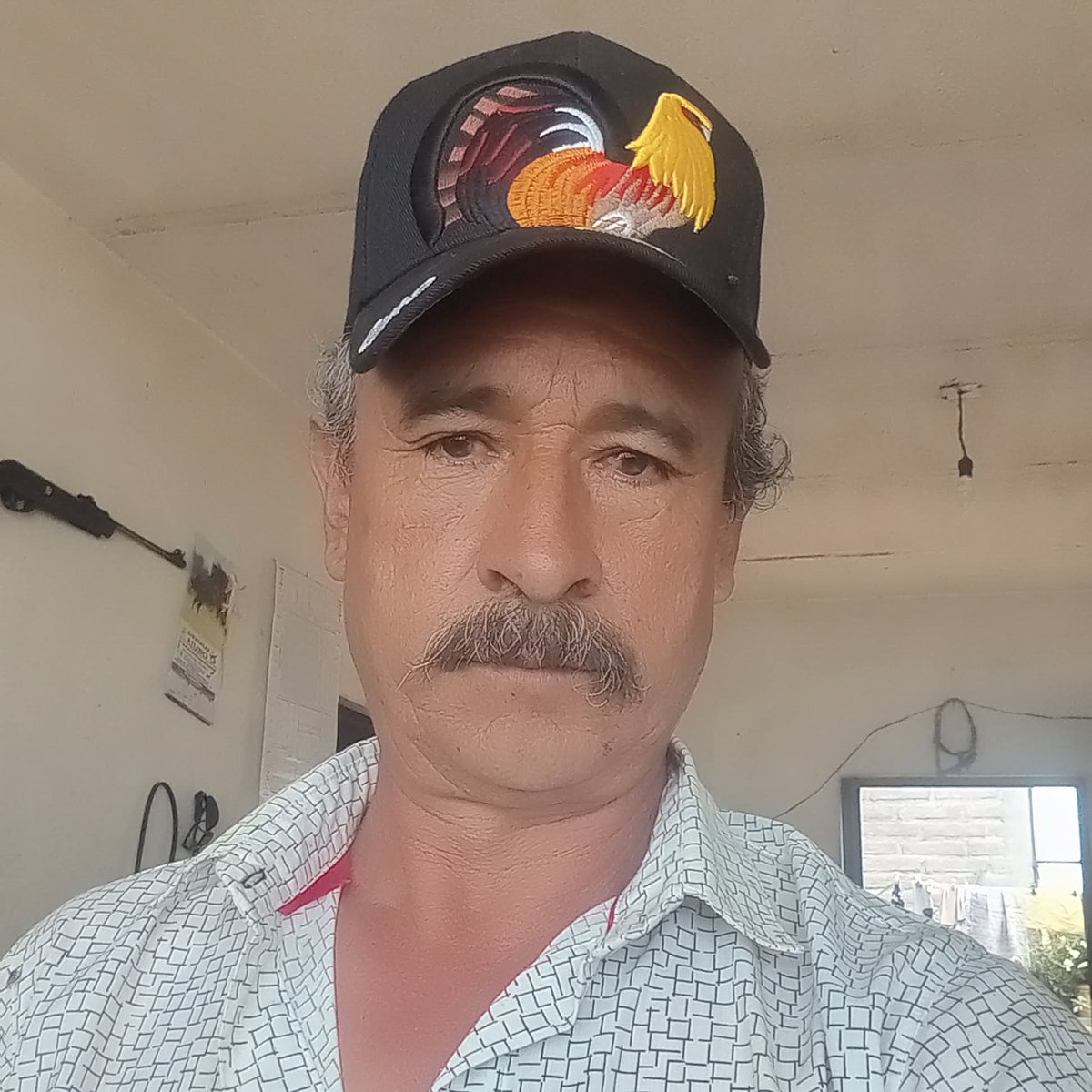 El primo de un amigo (@Elprimo06260837) / Posts / X