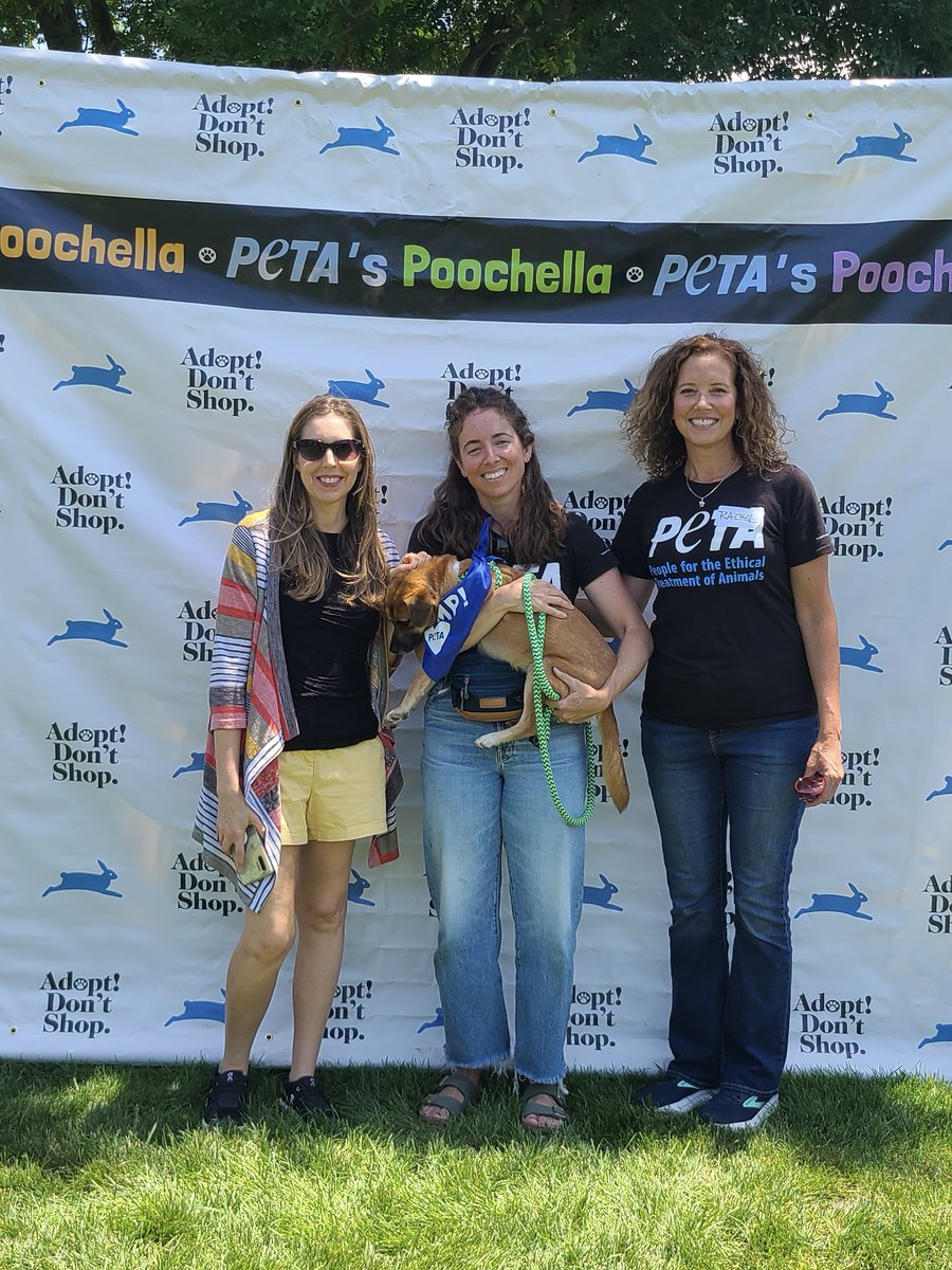 PETA (@peta) / Posts / X