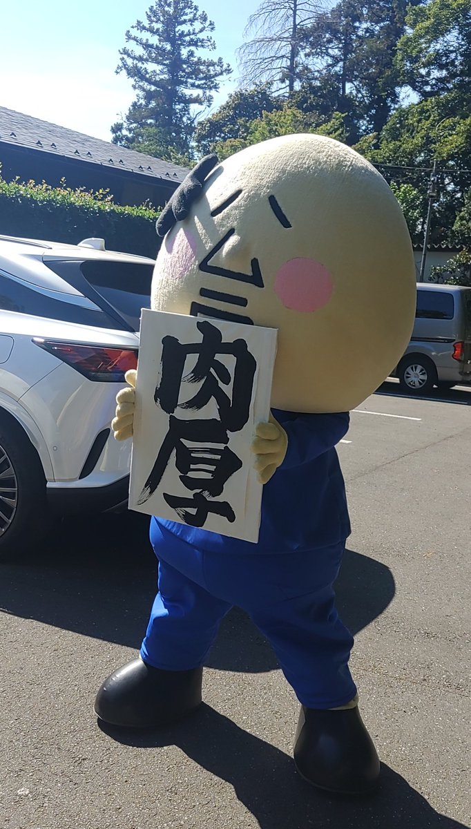 境内には地元のお店の屋台やキッチンカー、メイクや整体のコーナーもあってすごく賑わってました！ あじさいねぎメンチと矢切ネギコロッケを( 'ч ...