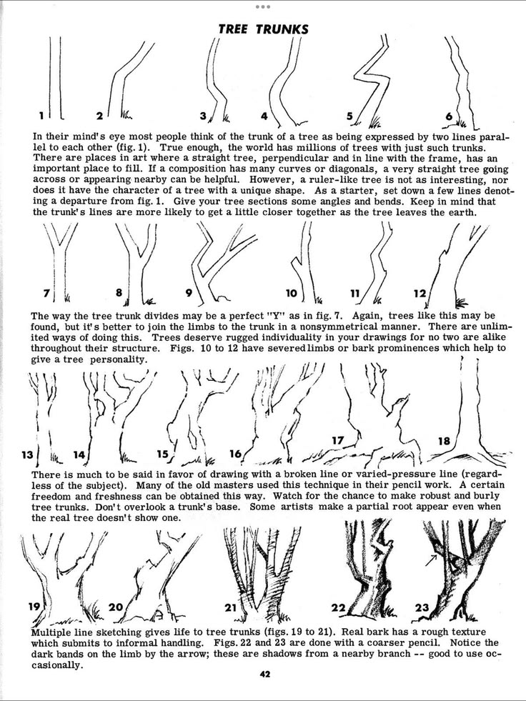 @ruesinning Trees are kinda easy to draw when you understand how it ...
