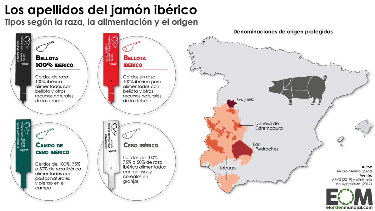 🐖¿Ibérico o serrano? Existen varios tipos de jamón curado, cada uno con ...