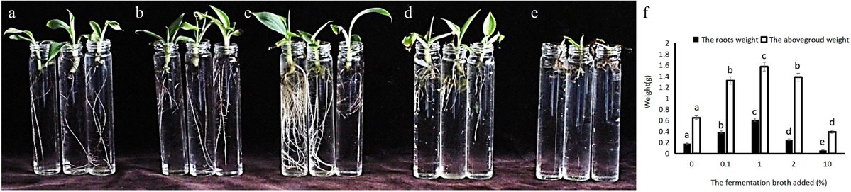 #TropicalPlants Genome sequencing reveals genetic diversity and key ...