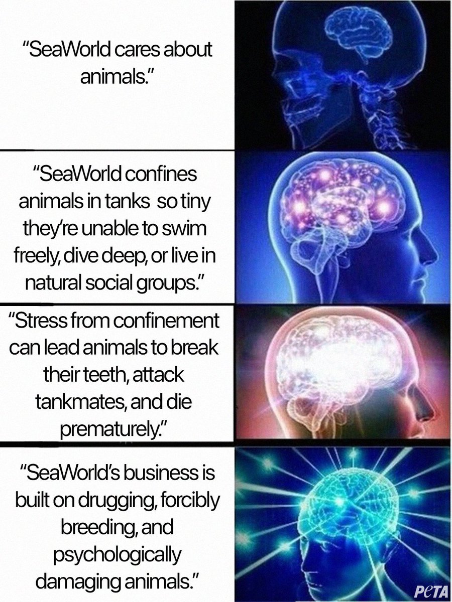 PETA (@peta) / Posts / X