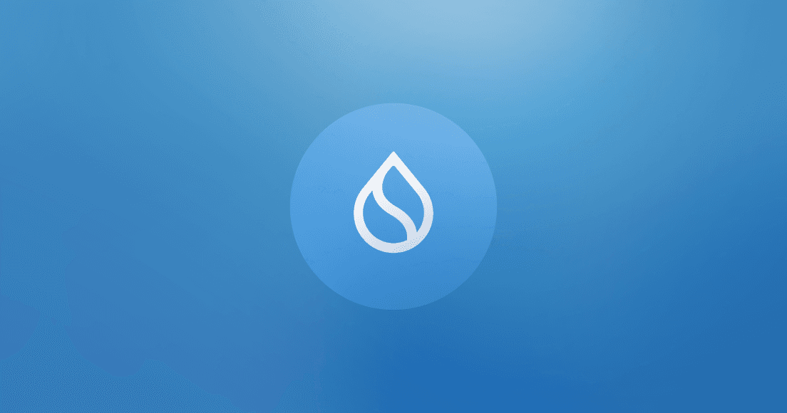 The SUI Foundation has located the issues which caused the network to ...