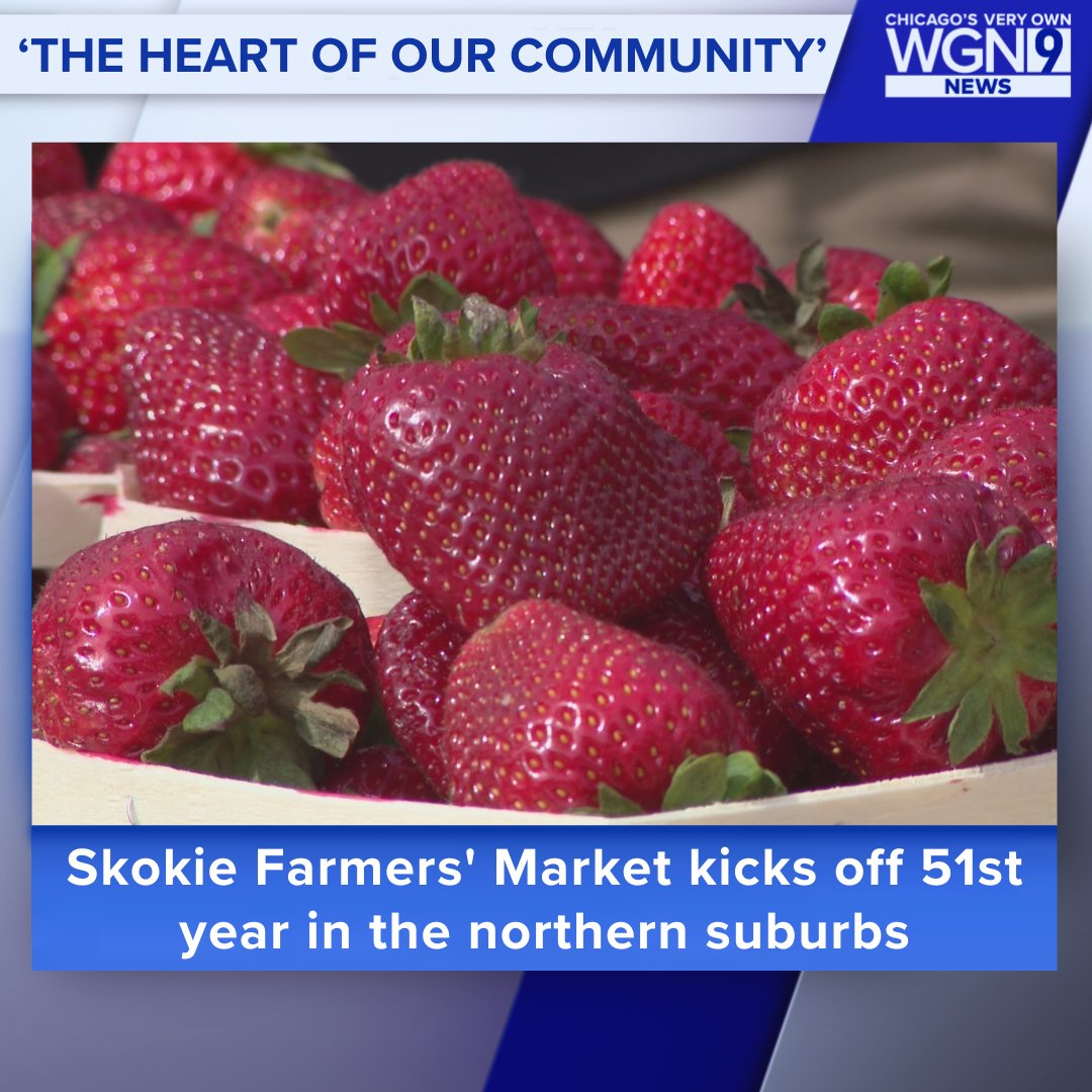 WGN TV News (@WGNNews) / Posts / X