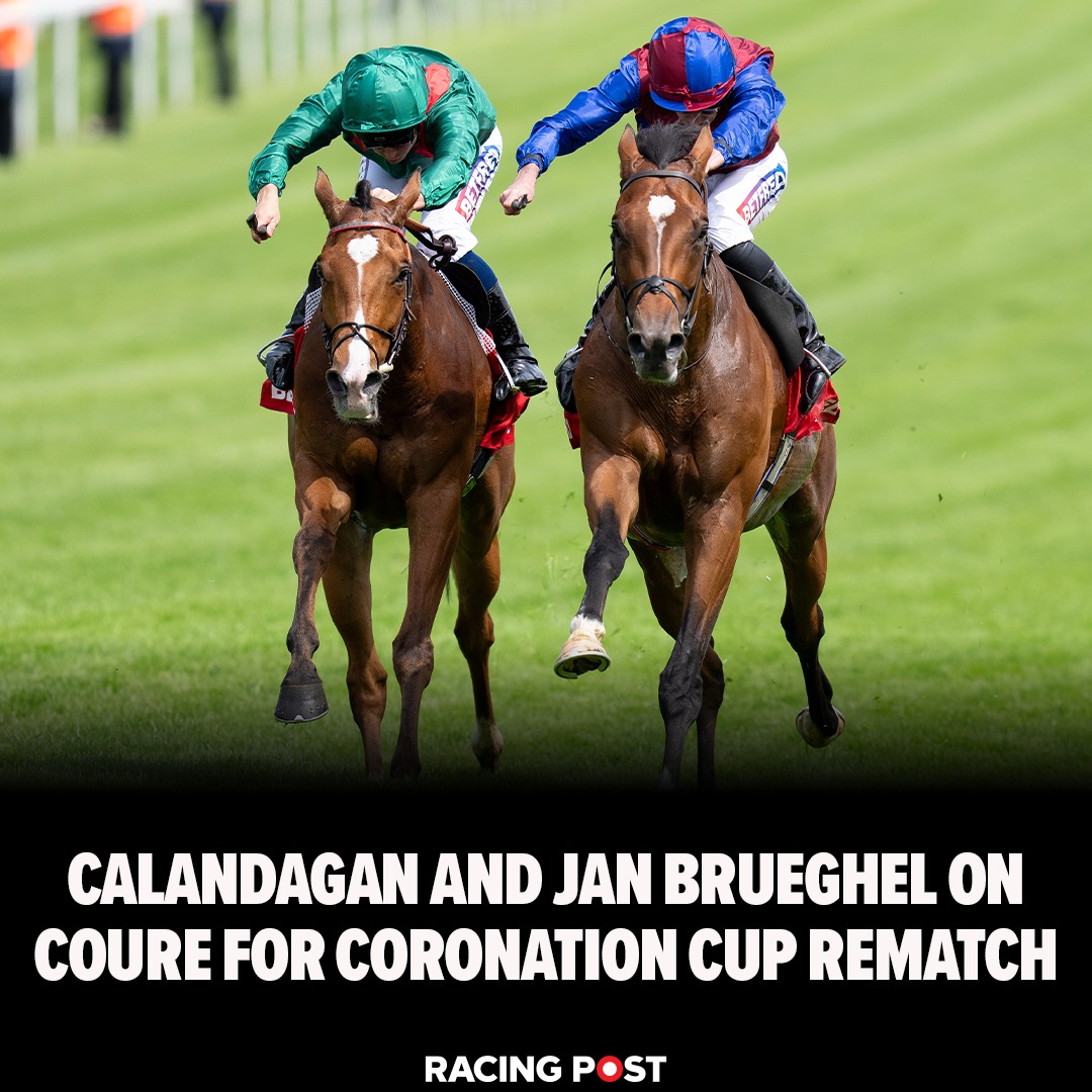 Racing Post (@RacingPost) / Posts / X