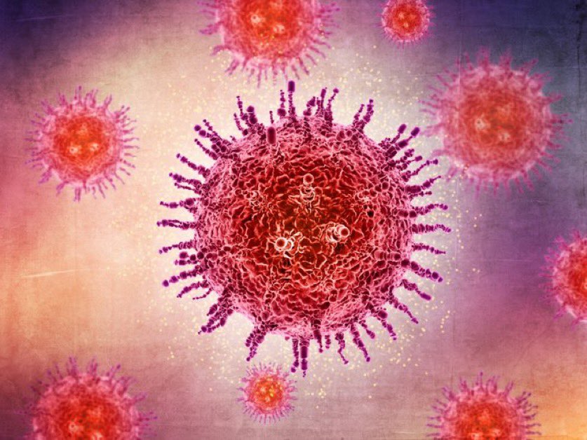 JUST IN: Four nurses have recovered from Ebola, offering a hopeful sign ...